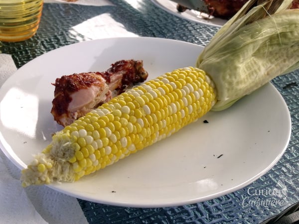 Wisconsin State Fair Corn On The Cob • Curious Cuisiniere