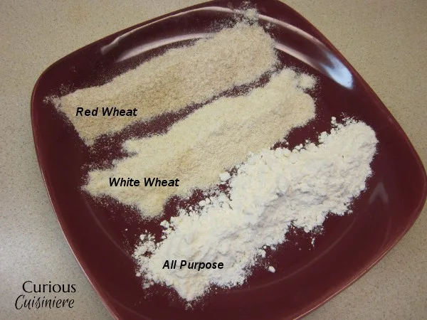 All You Wanted To Know About Wheat Flour • Curious Cuisiniere