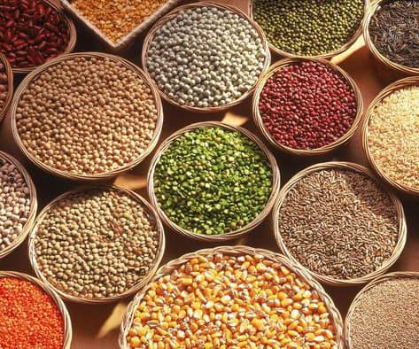 What are Whole Grains? • Curious Cuisiniere