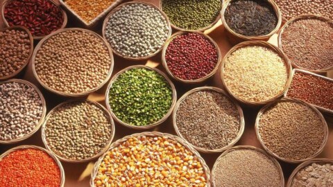 What are Whole Grains? • Curious Cuisiniere