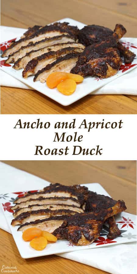 Roast Duck with Mole Spice Rub and Apricot Mole Sauce • Curious Cuisiniere
