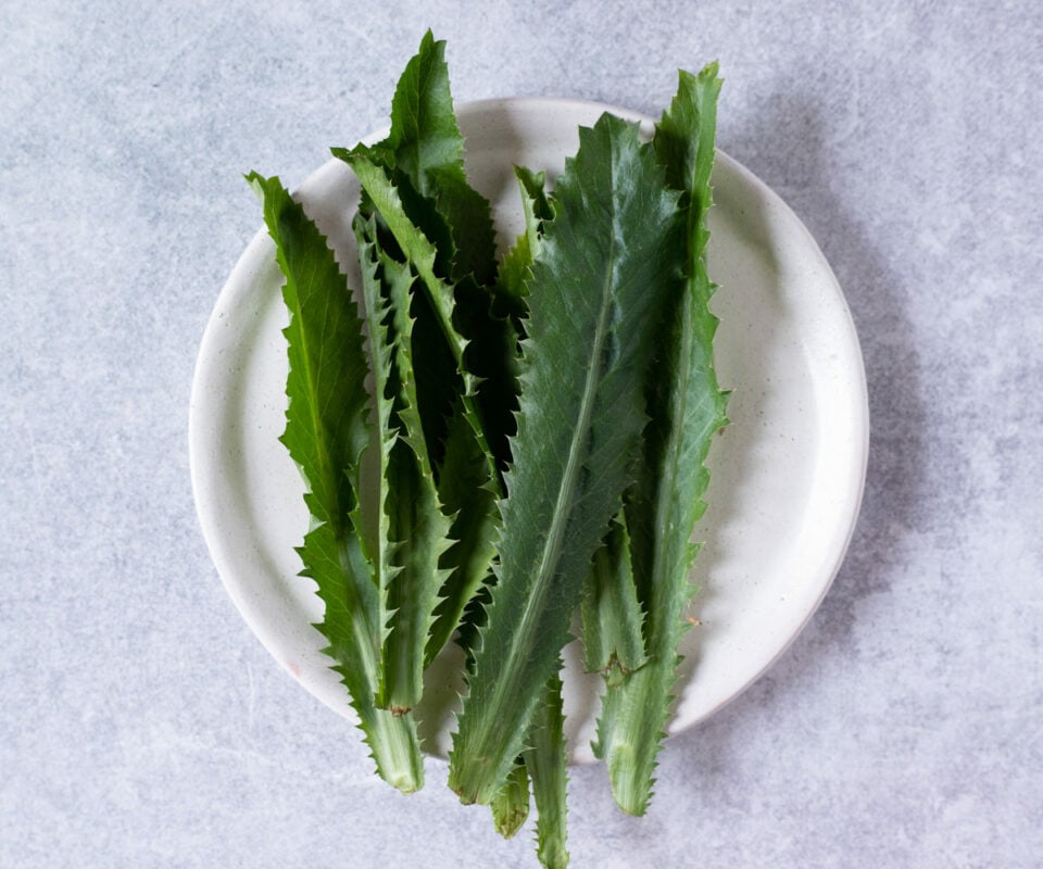 Panamanian Carimañolas (Cassava Fritters) • Curious Cuisiniere