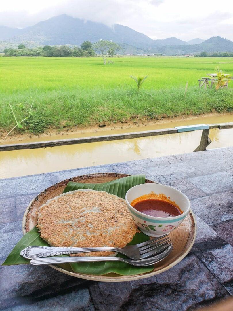 Pek Nga (Malaysian Coconut Pancakes) • Curious Cuisiniere
