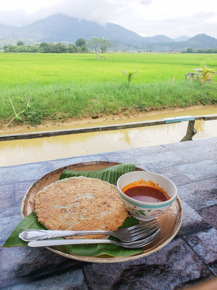 Pek Nga (Malaysian Coconut Pancakes) • Curious Cuisiniere